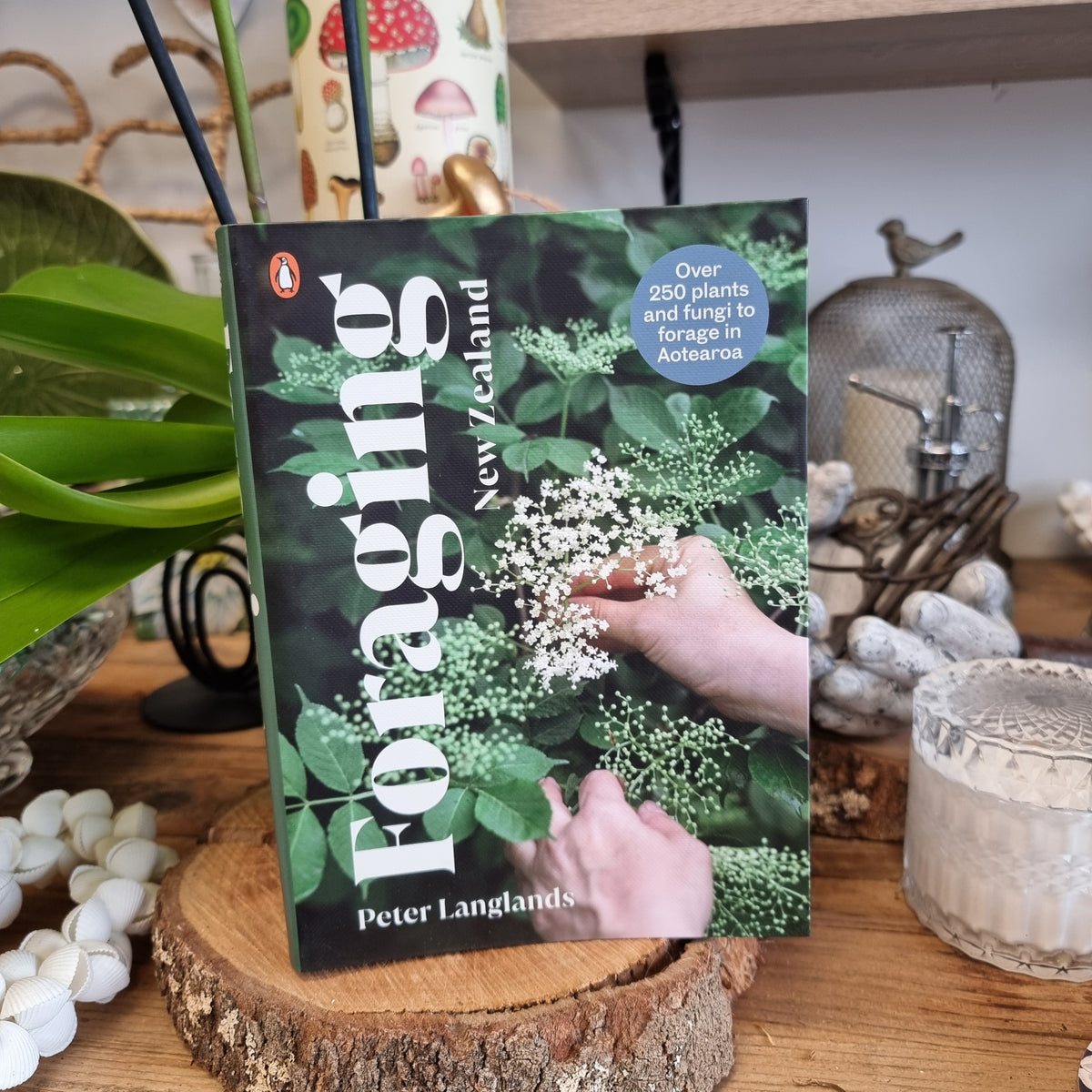 Foraging New Zealand – Blanc Flowers